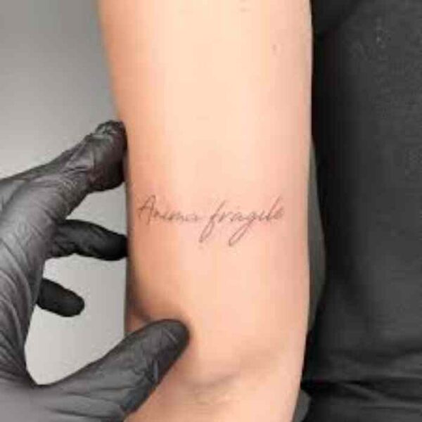 Tatuaggio Anima Fragile: Significato, Idee e Costi | Inkme Tattoo Blog