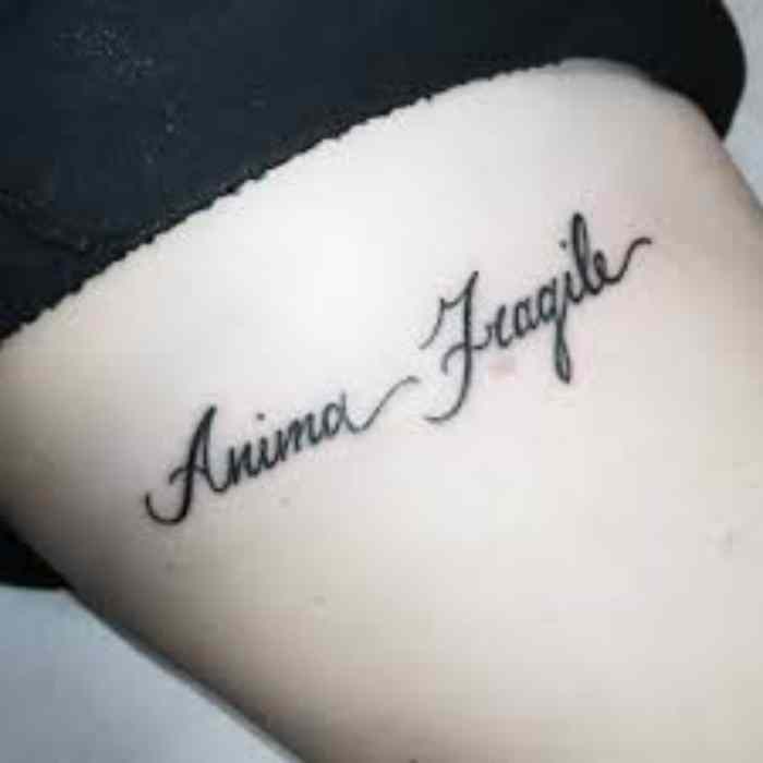 Tatuaggio Anima Fragile: Significato, Idee e Costi | Inkme Tattoo Blog