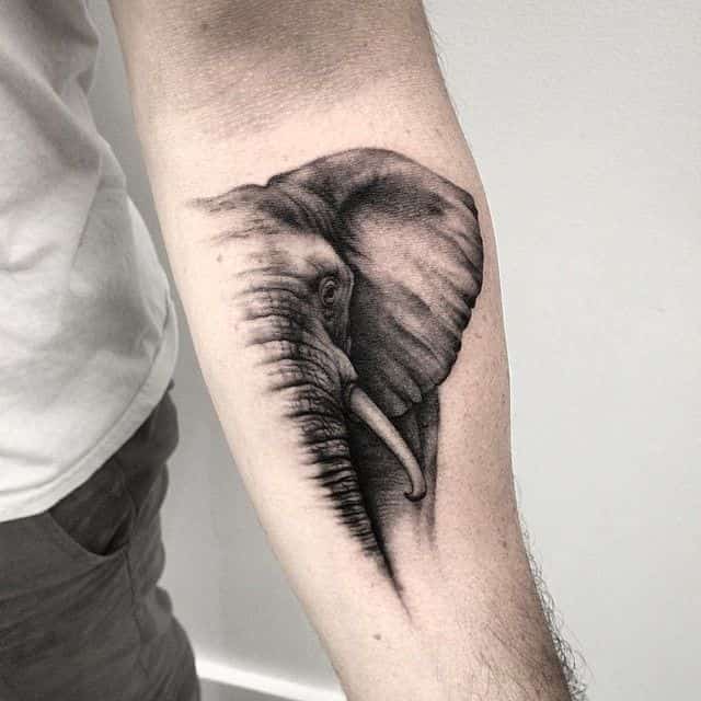 Tatuaggio Elefante: Significato, Idee e Costi | Inkme Tattoo Blog